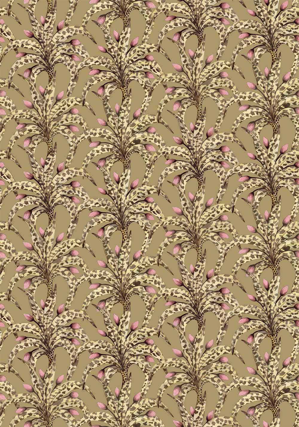 Cole & Son Afrika Damask Wallpaper – Safari & Blush – Modern 2 Interiors